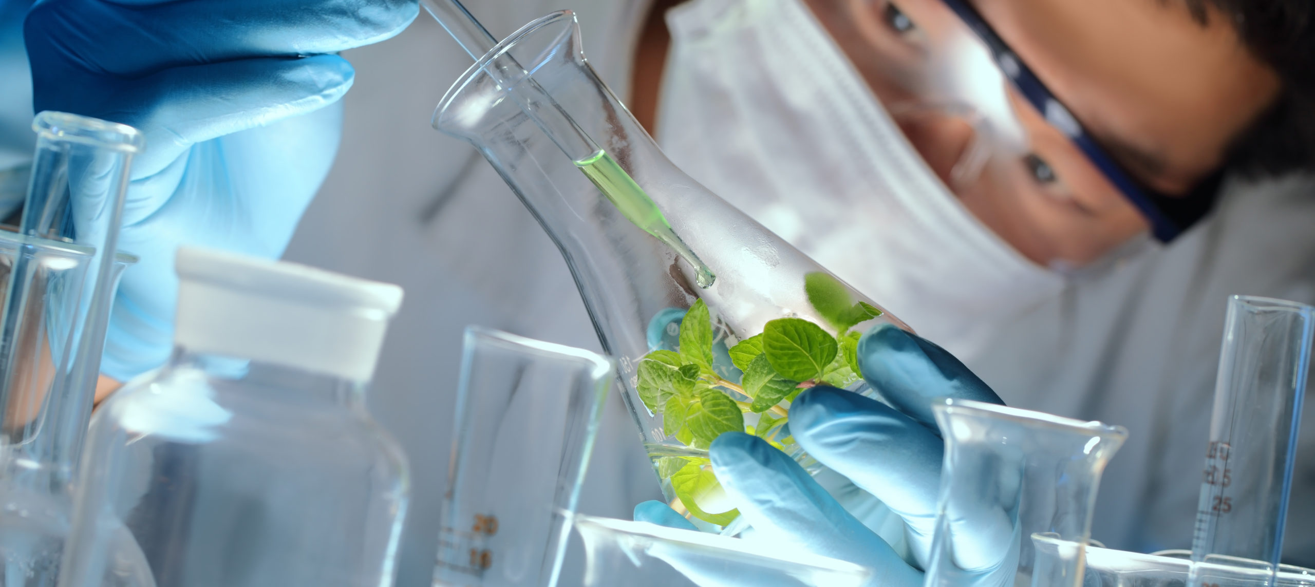 BAC Science et Technologie de l'Agronomie et du Vivant (STAV) - EPLEFPA ...